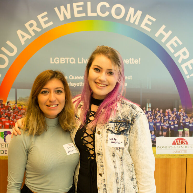 The Libraries’ Role in Promoting Diversity, Equity, and Inclusion ...